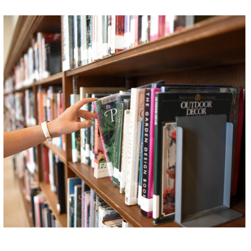 Community Member Spotlight: Meet Mary Beth, A Library Champion In and ...