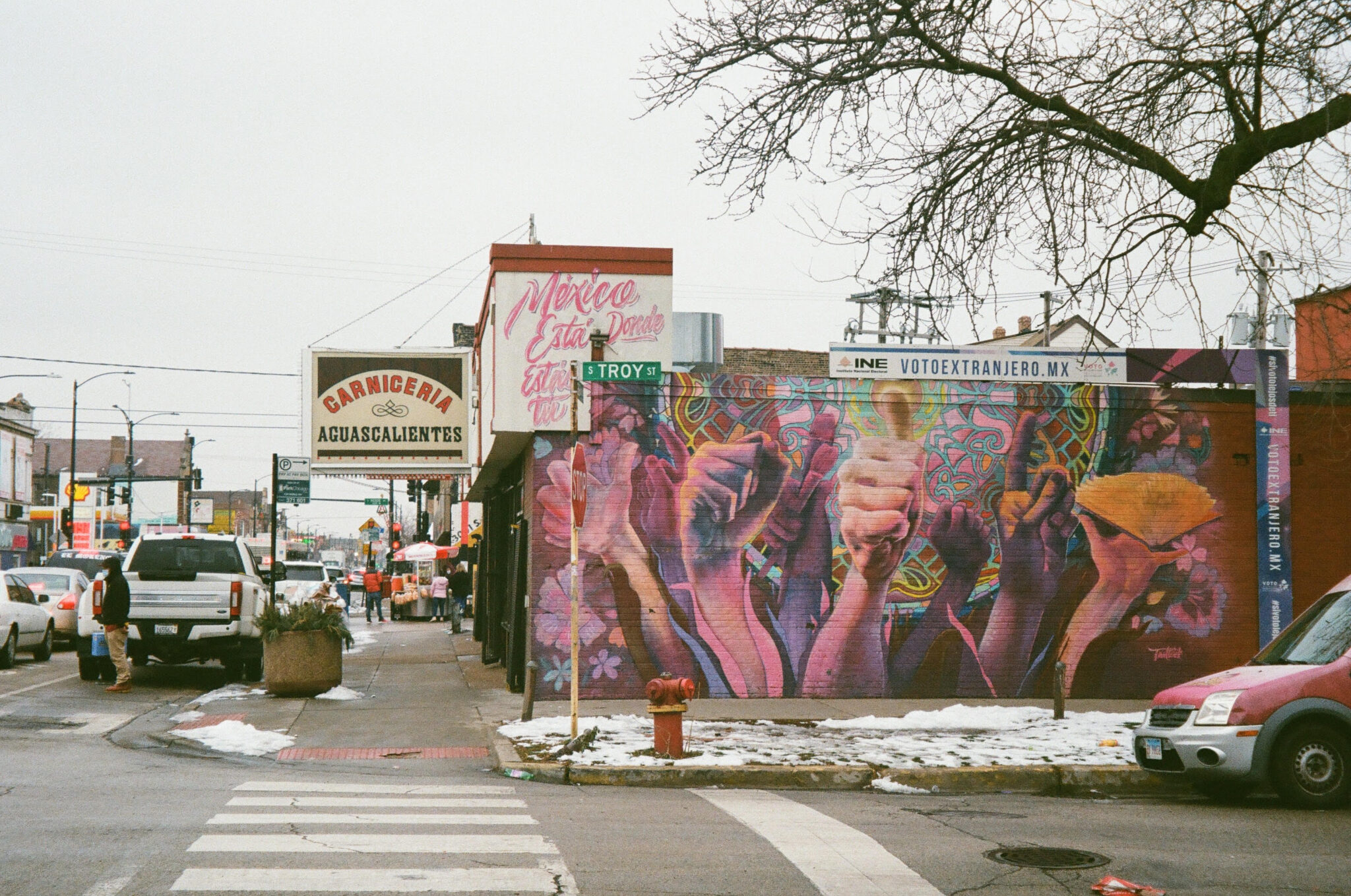 Meet the Library Foundation Team: Marissa De La Cerda - Chicago Public ...